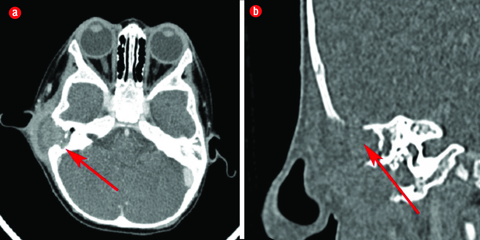 Oman Medical Journal-Archive