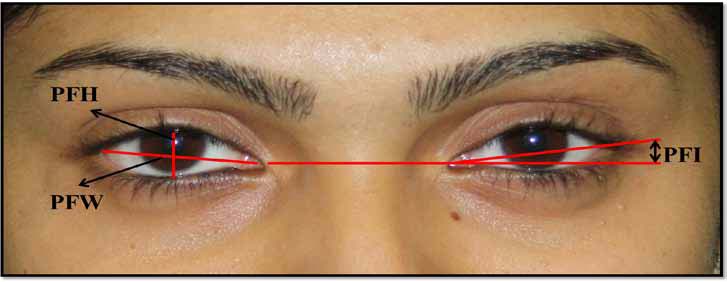 Oman Medical Journal-Archive