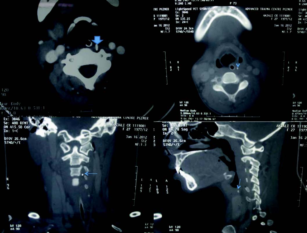 Oman Medical Journal-Archive