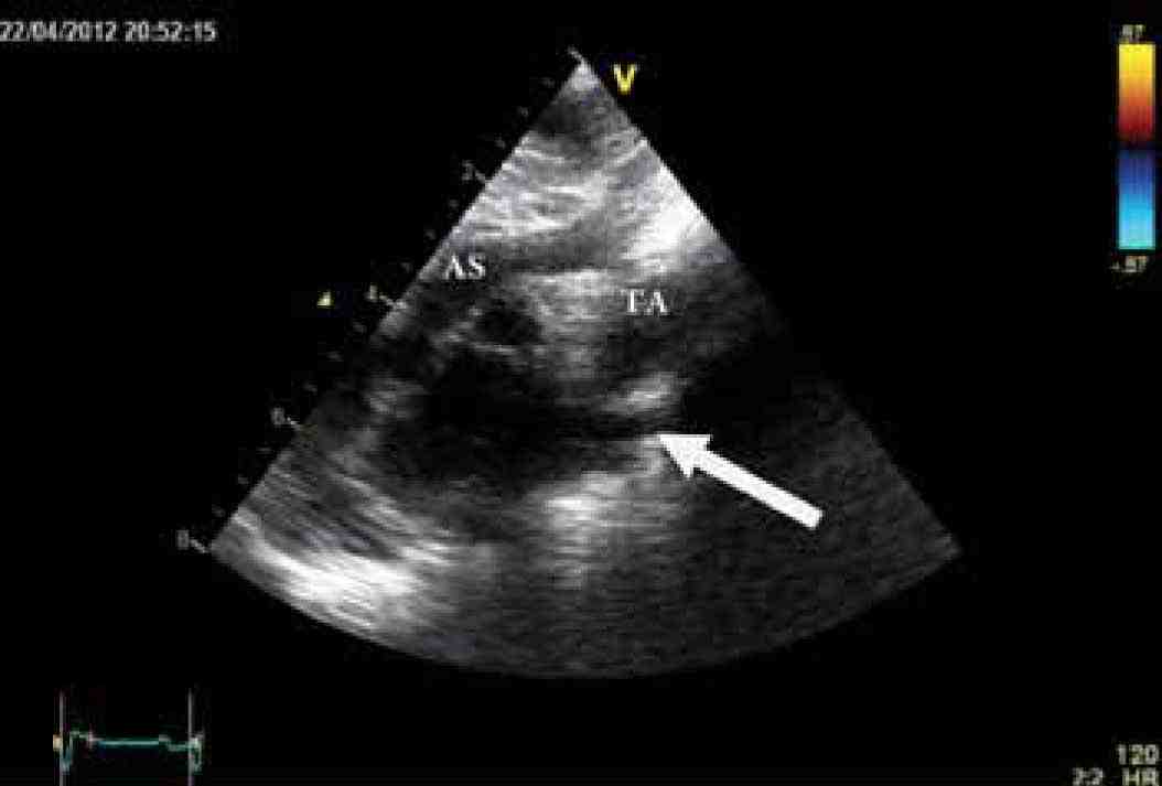 Oman Medical Journal-Archive