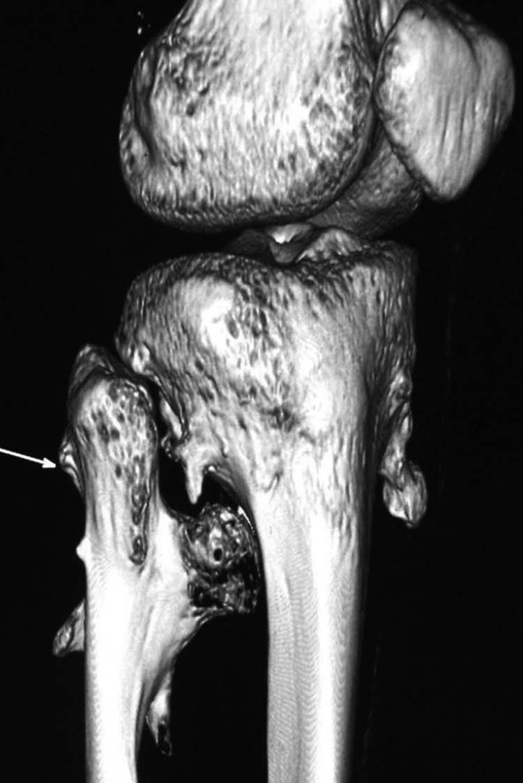 Oman Medical Journal-Archive
