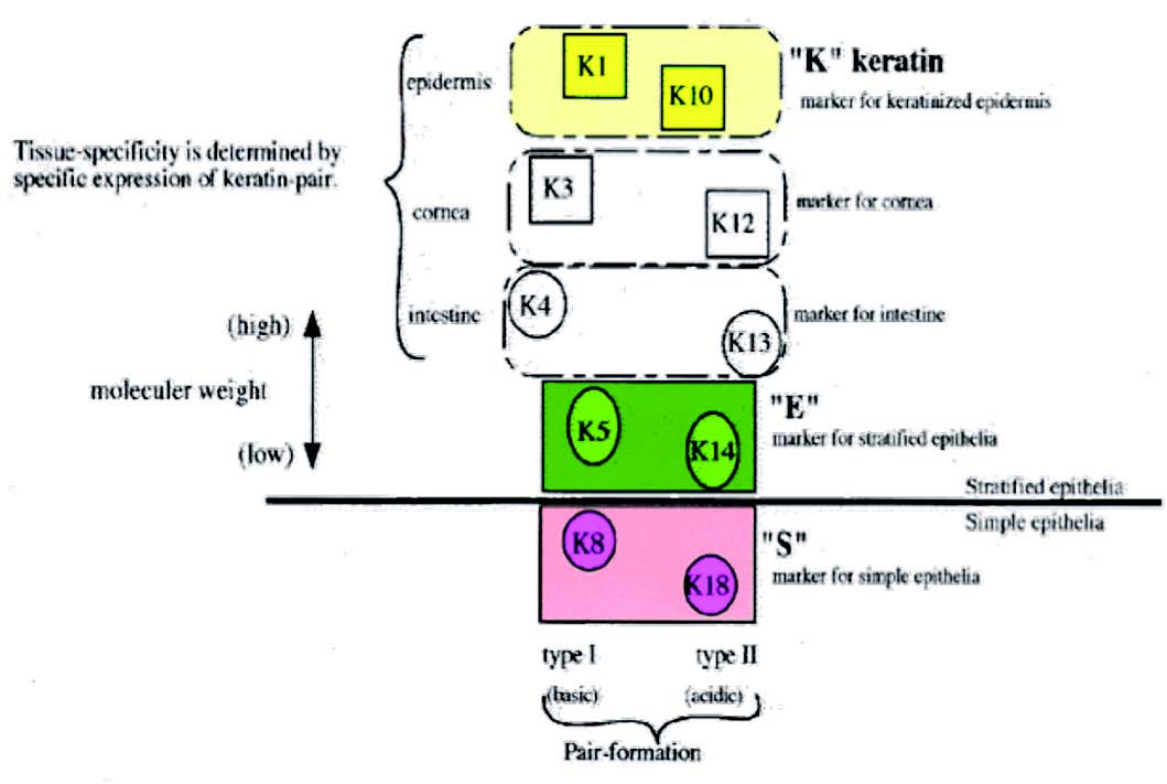 Oman Medical Journal-Archive