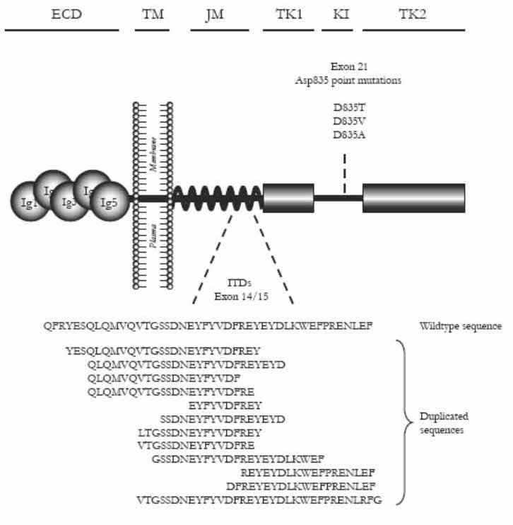 Oman Medical Journal-Archive